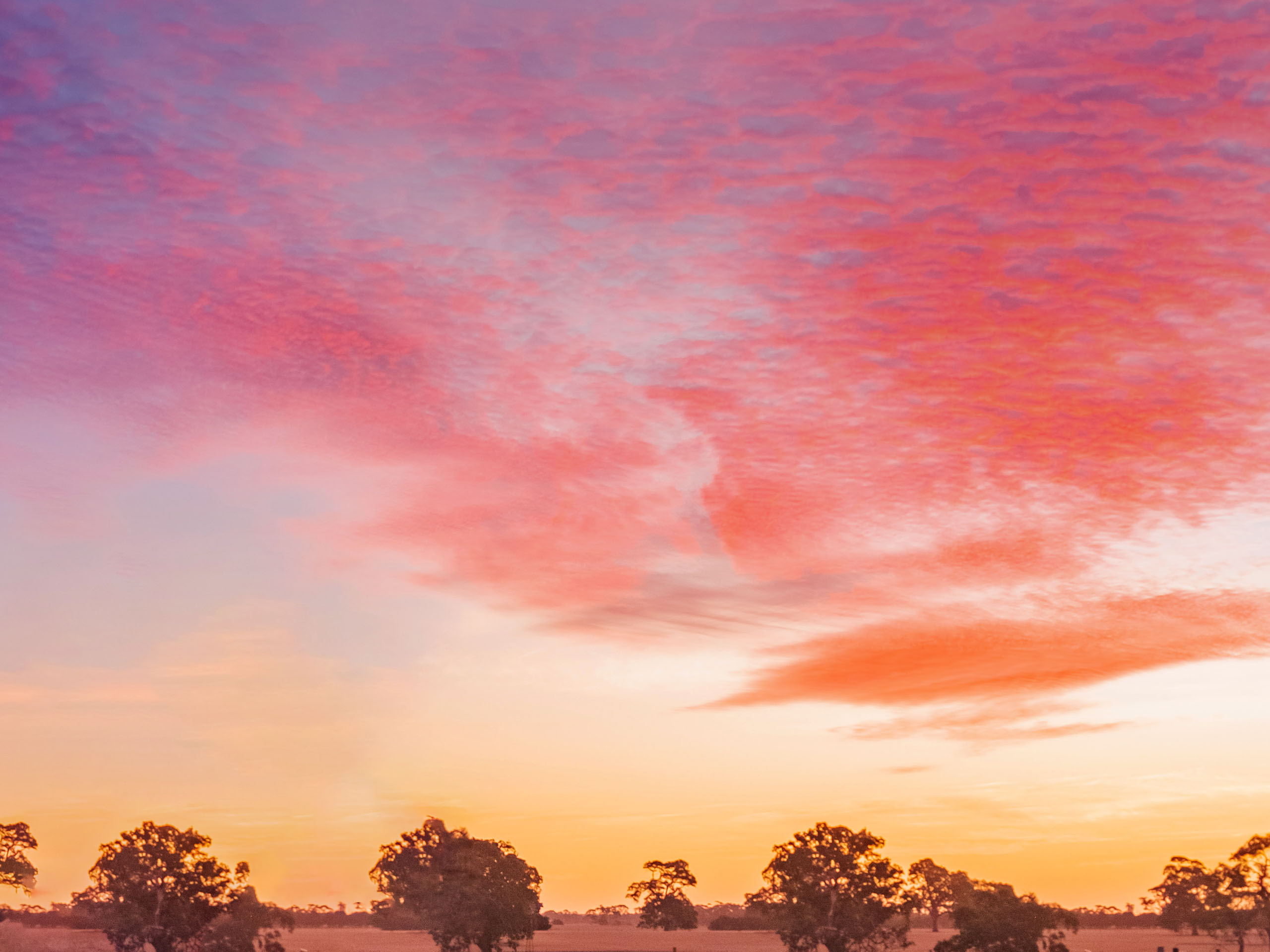 The Long Way Home - Opera Queensland